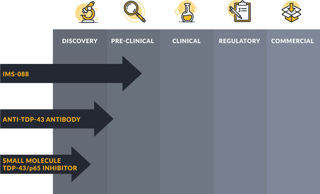 Pipeline | ImStar Therapeutics